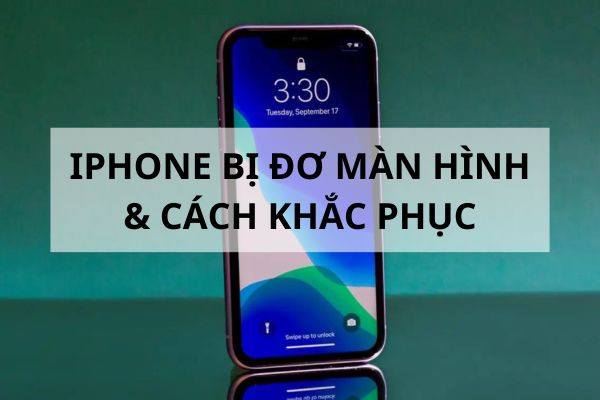 Nguyên nhân iPhone bị đơ màn hình và cách xử lý hiệu quả