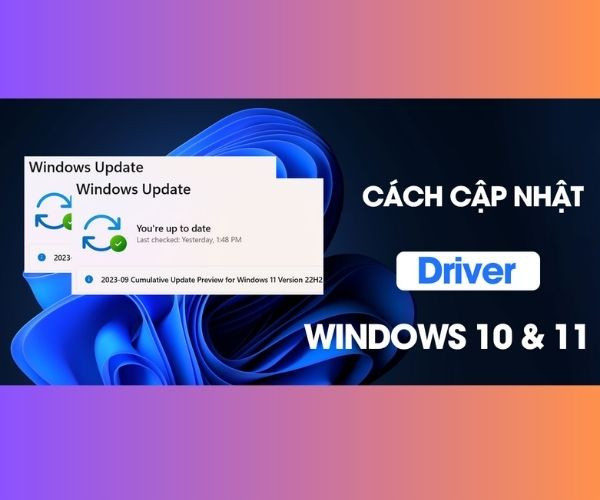 Tổng hợp các cách update driver Win 11 nhanh, đơn giản nhất