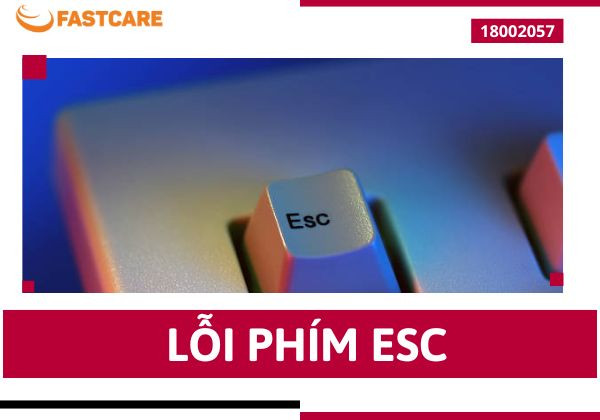 Lỗi phím ESC không hoạt động? Cách khắc phục hiệu quả 100%